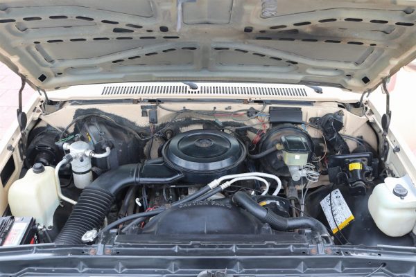 1987 Chevy R10 SWB Custom Deluxe – TEXAS TRUCKS & CLASSICS